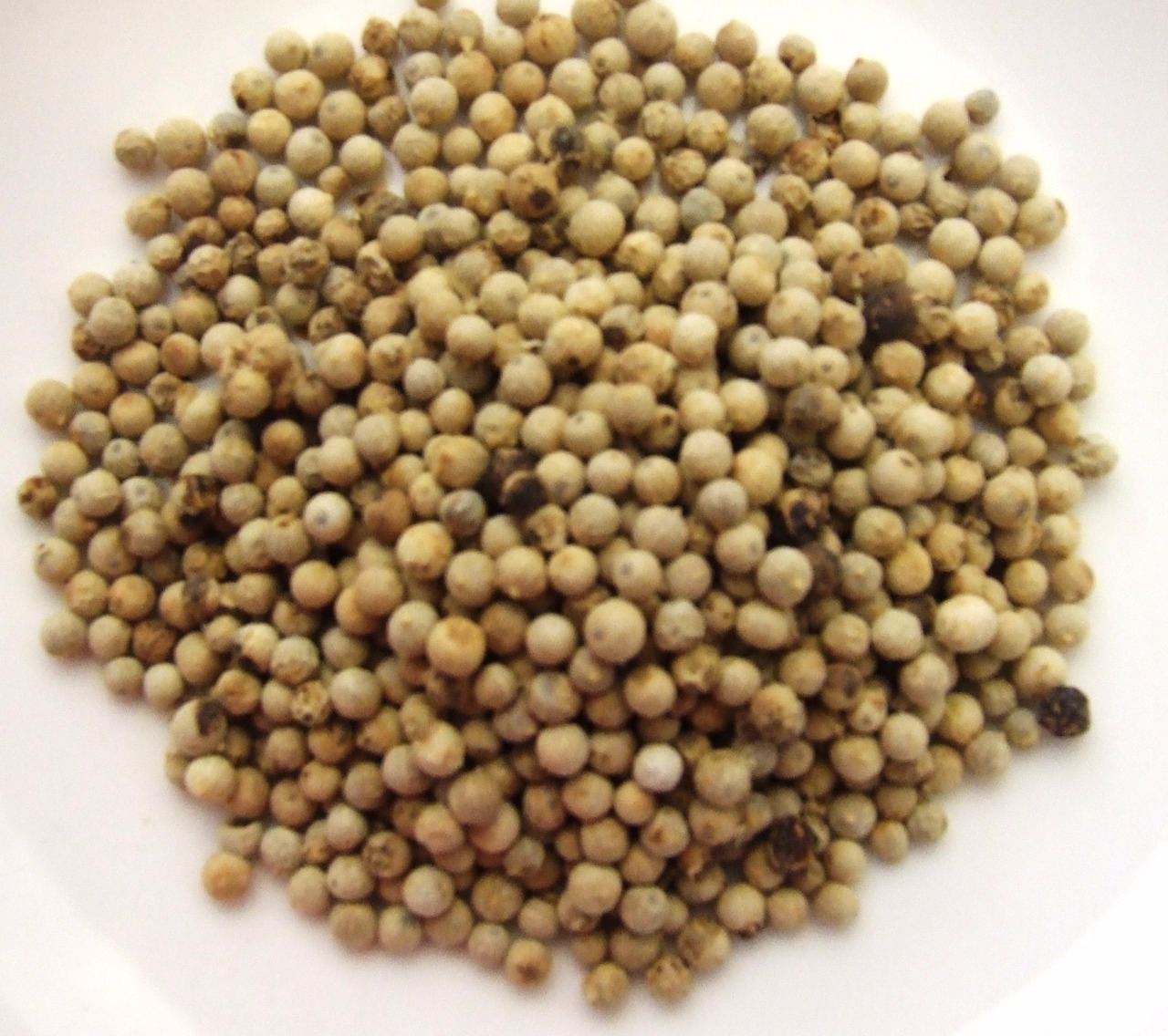 Poivre blanc entier les 100 gr - La-route-des-saveurs